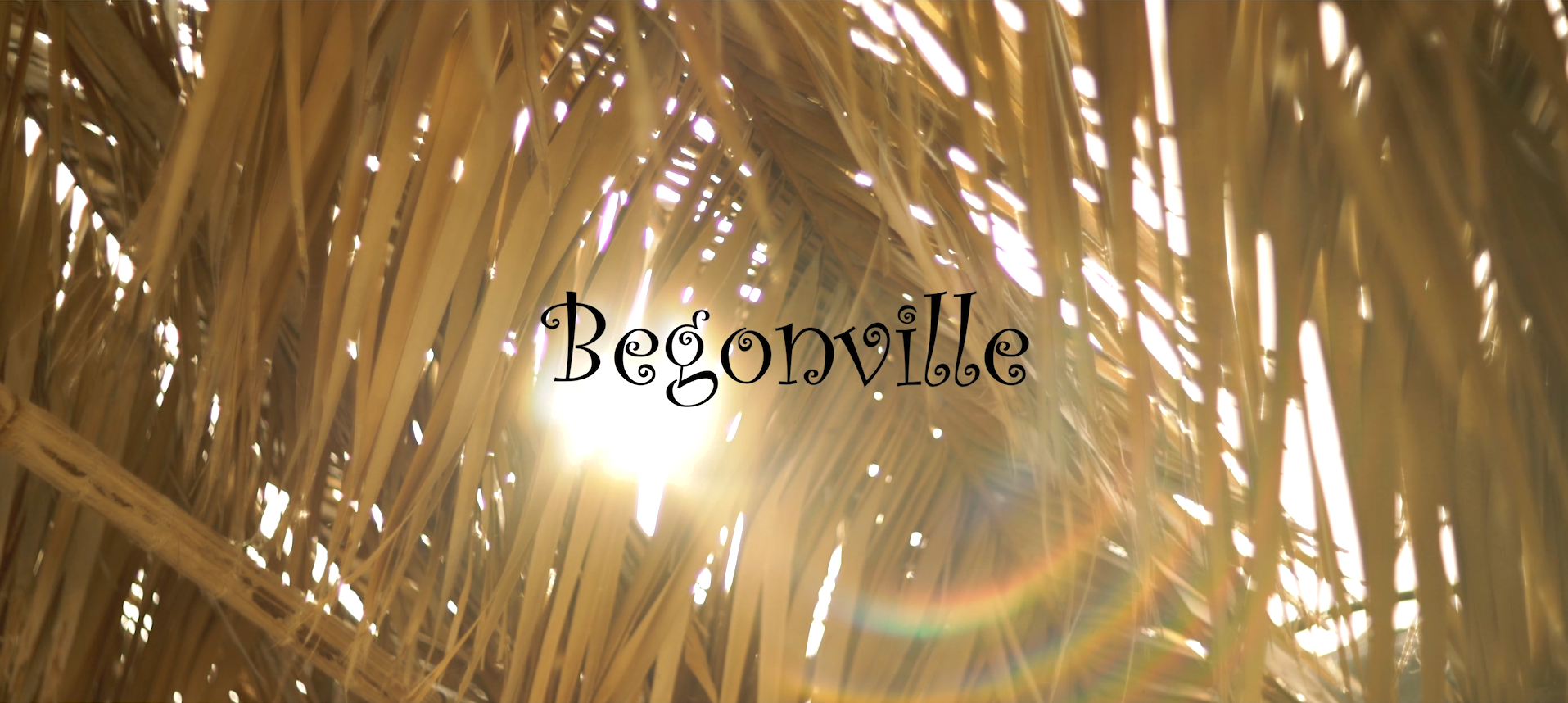 Welcome to the New Begonville | The Official Begonville Blog